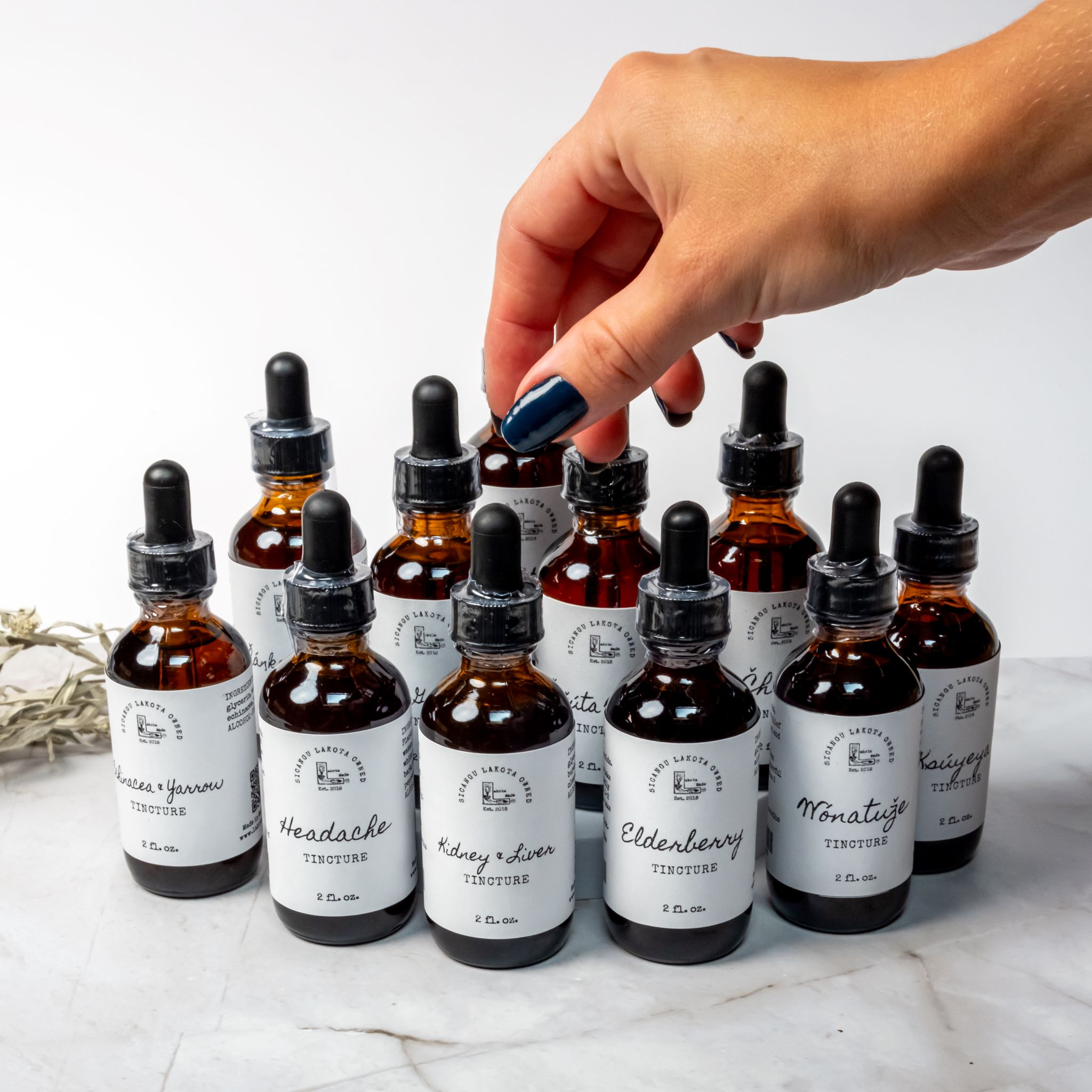 Herbal Tinctures – Lakota Made